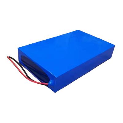China 2048Wh 25.6V 80Ah LiFePO4 Battery Pack Deep Cycle with Smart BMS (CE/UN38.3) for Golf Carts & AGVs for sale