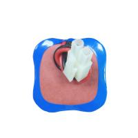 China 6000mAh 6.4V Lithium Iron Battery Pack with Custom Lithium Battery Packs for sale