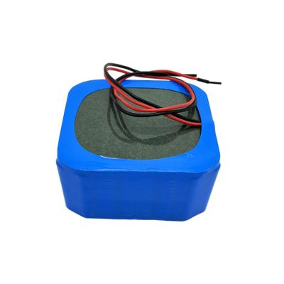 China High-Performance 12V 40Ah Phosphate Cells Lithium Battery Pack for AGV & Medical Equipment for sale