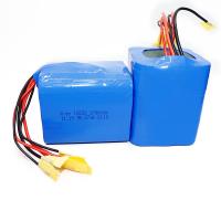 China 8700mAh 12V 18650 Lithium Ion Battery Pack with Balance Sampling Wire & Bare Copper Terminal Lugs for Agricultural Spraying Drone, CE China Manufacturer for sale