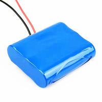 China 26.4Wh 2200mAh 12V Rechargeable 18650 Lithium Ion Battery Pack with Bare Red Black Wire Lead for Mini Monitoring Camera, MSDS China Manufacturer for sale