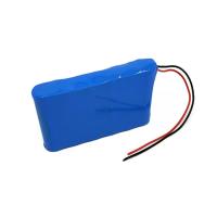 China Custom 12V 4400mAh Blue PVC Insulated BMS Protected Rechargeable Li-ion Cell with Bare Tinned Red Black Lead Wires for Slim Embedded Devices, RoHS Compliant Made in China for sale