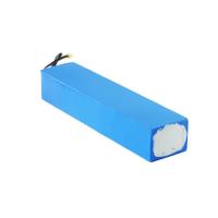 China 8800mAh 24V Rectangle 18650 Lithium Ion Battery Pack, Built-in BMS with JST 2P Light Green Connector for Portable Massager, UN38.3 Compliant Made in China for sale