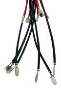 China Molex Connector Wire Assembly | Custom Legth UL1007 2Pin Red and Black Male Terminal Wire Harness for Electric Toys | China Wiring Harness Factory for sale