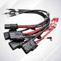 China OEM Custom  Wire Harness | UL1007 Female 80A 160A 320A Electric Forklift Power with Rema Battery Connectors Cable Assembly | China Factory Low MOQ for sale