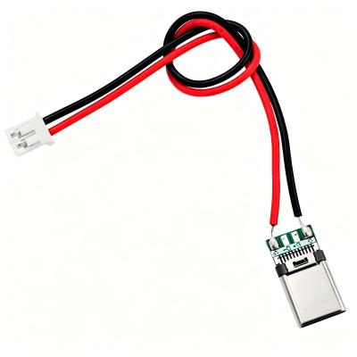 China OEM Custom Wiring Harness | Type-C Male to PH2.0 2Pin Power Cable | 2.0mm Pitch Terminal Wire with Gold-Plated Connector for Small Electronic Modules | ISO9001 China Manufacturer for sale