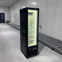 China Commercial Glass Door Freezer with R290a Refrigerant, 180 L Capacity, and High-Visibility Glass Display for sale