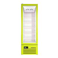 China Commercial Glass Door Freezer combining cooling system and attractive design to support merchandising and product preservation goals for sale