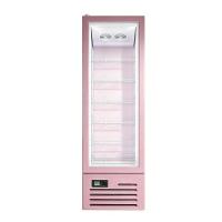 China Commercial Glass Door Freezer with Transparent Glass Doors and Stable Cooling for 180 L Capacity Beverage Storage for sale