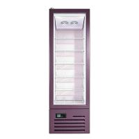 China Commercial Beverage Cooler with Clear Display Stable Freezing and Durable Build for Supermarkets and Cafes for sale