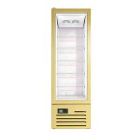 China Commercial Glass Door Freezer Featuring Durable Shelving and Easy Access Doors Supporting Stock Management in Grocery Stores and Cafes for sale