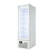 China Commercial Glass Door Freezer with Triple Layer Heated Glass Door and Sub Zero Cooling for Retail and Cafe for sale
