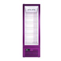 China Energy Saving Commercial Glass Door Freezer Ideal for Food Service Establishments Requiring Durable and Cooling Solutions for sale
