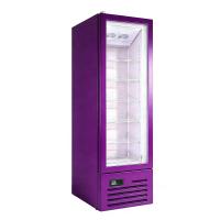 China Energy Saving Commercial Glass Door Freezer Ideal for Food Service Establishments Requiring Durable and Cooling Solutions for sale