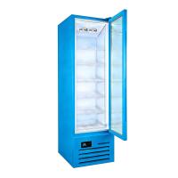 China Versatile Commercial Glass Door Freezer Ideal for Beverage Stores Ice Cream Shops and Supermarkets Requiring Cooling Solutions for sale