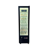 China Commercial Glass Door Freezer with Tempered Glass Doors, Ergonomic Handles, and R290a Refrigerant for High-Traffic Retail for sale