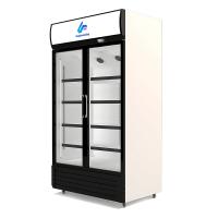 China 530L Capacity Glass Door Freezer with Static Cooling and Swing Glass Doors for Supermarket Display for sale