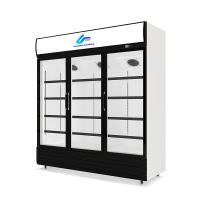 China Triple Glass Door Freezer with Static Cooling Technology and 1050L Volume for Optimal Product Visibility for sale