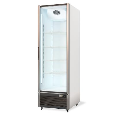 China Commercial Cabinet Freezer with Adjustable Shelves, Direct Cooling, and Stainless Steel Construction for sale