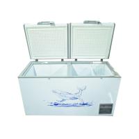 China Commercial Freezer with Large Capacity Direct Cooling and R290a Refrigerant for Efficient Refrigeration for sale