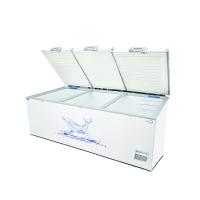 China Commercial Chest Freezer with 1042L Volume Mechanical Thermostat and Direct Cooling System for sale