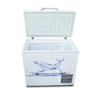 China Deep Frozen Chest Freezer with Direct Cooling and R290a Refrigerant for Commercial Refrigeration for sale