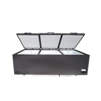 China High-capacity Commercial Freezer with Electronic Control and Fan-assisted Cooling for Optimal Performance for sale