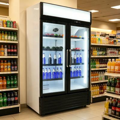 China Supermarket Counter Double-Door Vertical Glass Refrigerator with 650L and R290a Refrigerant for sale