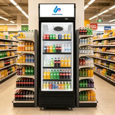 China 250L Commercial Upright Refrigerator with 2-8℃ Temperature and Static Cooling for sale