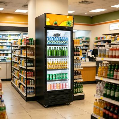 China Energy Saving Glass Door Refrigerator with 250 Liter Volume and R290a Refrigerant for Cooling for sale