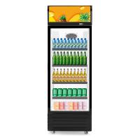 China Energy Saving Glass Door Refrigerator with 250 Liter Volume and R290a Refrigerant for Cooling for sale