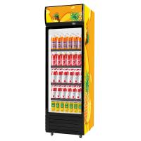 China Energy Saving Glass Door Refrigerator with 250 Liter Volume and R290a Refrigerant for Cooling for sale