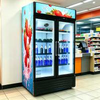 China R290a Refrigerant Glass Door Refrigerator with 530 Liter Volume and high-quality Cooling System for sale