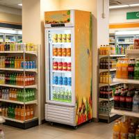 China Durable Commercial Refrigerator with Tempered Glass Door 330L Volume and 2-8℃ Temperature Range for sale