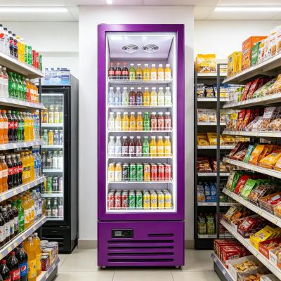 China 240V 50Hz Display Glass Door Freezer 1600mm Beverage Single Door Cooler Display Fridge for sale
