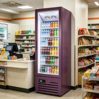 China 220V Display Glass Door Freezer 600mm Beverage Single Glass Door Freezer for sale