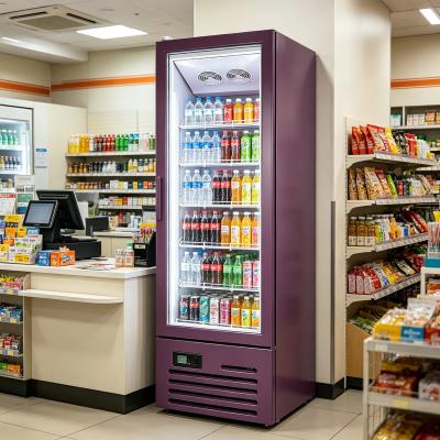 China 220V Display Glass Door Freezer 600mm Beverage Single Glass Door Freezer for sale