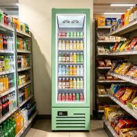 China Fan Cooling Display Glass Door Freezer ISO14001 Large Display Cooler 180 L for sale