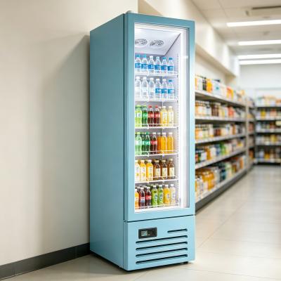 China Stable Freezing Commercial Glass Front Fridge Countertop Cooler For Retail Hospitality for sale