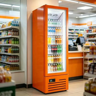 China Versatile Commercial Glass Door Freezer Suitable for Various Retail Applications with Adjustable Shelving Options for sale