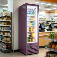 China Commercial Beverage Cooler with Clear Display Stable Freezing and Durable Build for Supermarkets and Cafes for sale