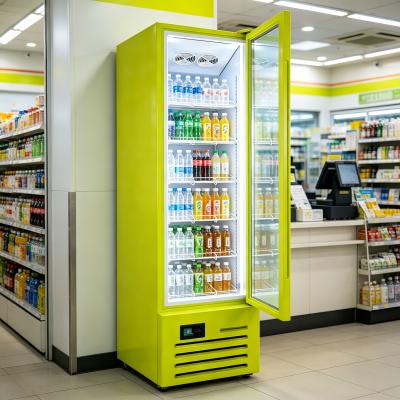 China Commercial Glass Door Freezer combining cooling system and attractive design to support merchandising and product preservation goals for sale
