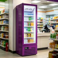 China Energy Commercial Glass Door Freezer Featuring User Friendly Controls and Durable Components for Daily Commercial Operations for sale