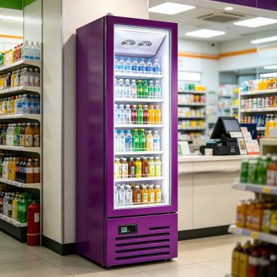 China Energy Commercial Glass Door Freezer Featuring User Friendly Controls and Durable Components for Daily Commercial Operations for sale