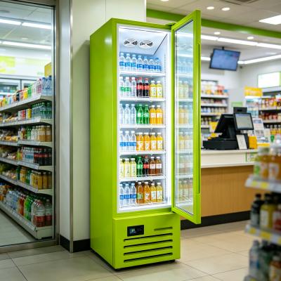 China Commercial Glass Door Freezer with Clear Visibility, Stable Cooling, and R290a Refrigerant for Retail and Food Service for sale
