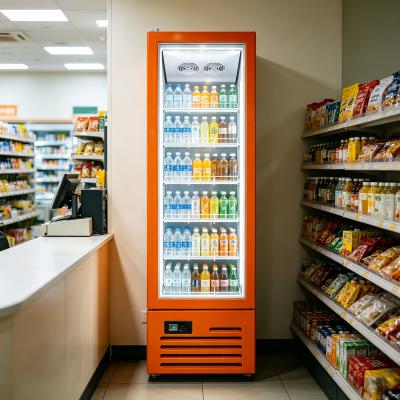 China Commercial Glass Door Freezer Engineered to Support Daily Business Operations with Durable Construction and Stable Cooling for sale