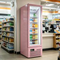 China Commercial Glass Door Freezer with Transparent Glass Doors and Stable Cooling for 180 L Capacity Beverage Storage for sale