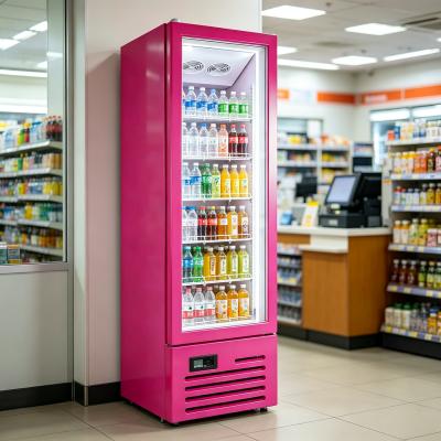 China Versatile Commercial Glass Door Freezer with Adjustable Shelves and Cooling System Ideal for Food Stores and Hospitality Venues for sale