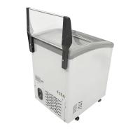 China Heat Reflective Glass Island Freezer Seafood  Single Door Display Refrigerator for sale