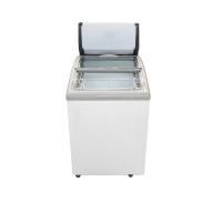 China Heat Reflective Glass Island Freezer Seafood  Single Door Display Refrigerator for sale